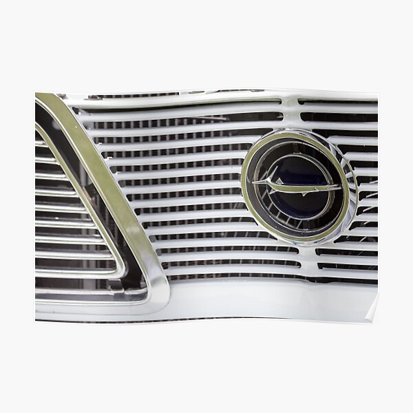 "Barracuda - Liz Leggett Photography" Poster for Sale by ...