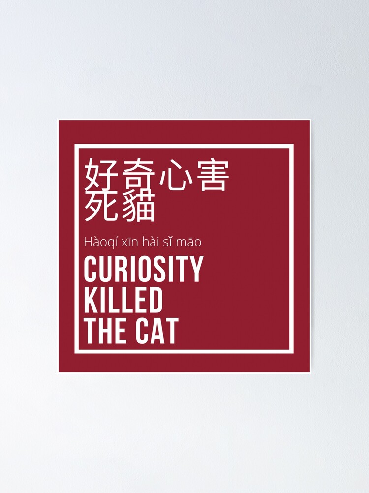 "Curiosity Killed the Cat " Poster for Sale by ModernMandarin | Redbubble