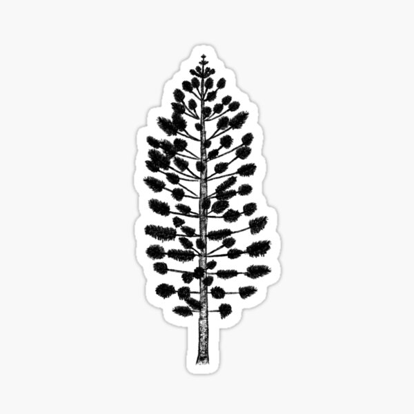 "Hoop Pine" Sticker for Sale by wanungara | Redbubble