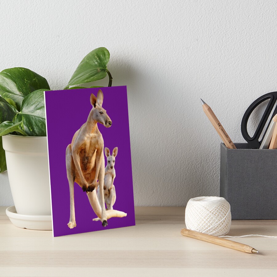 "Wallaroo (Kangaroos) " Art Board Print for Sale by Javedempire | Redbubble