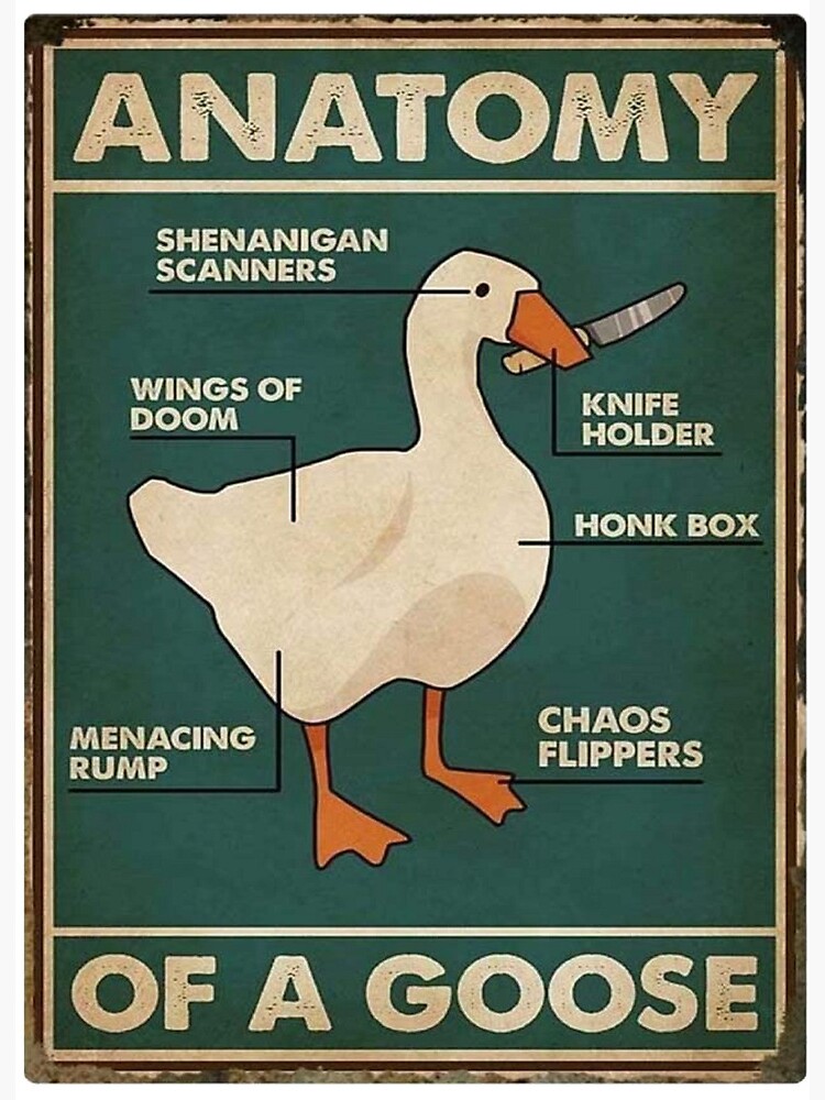 "Anatomy Of A Murderer Goose Meme Art" Art Board Print for Sale by ...