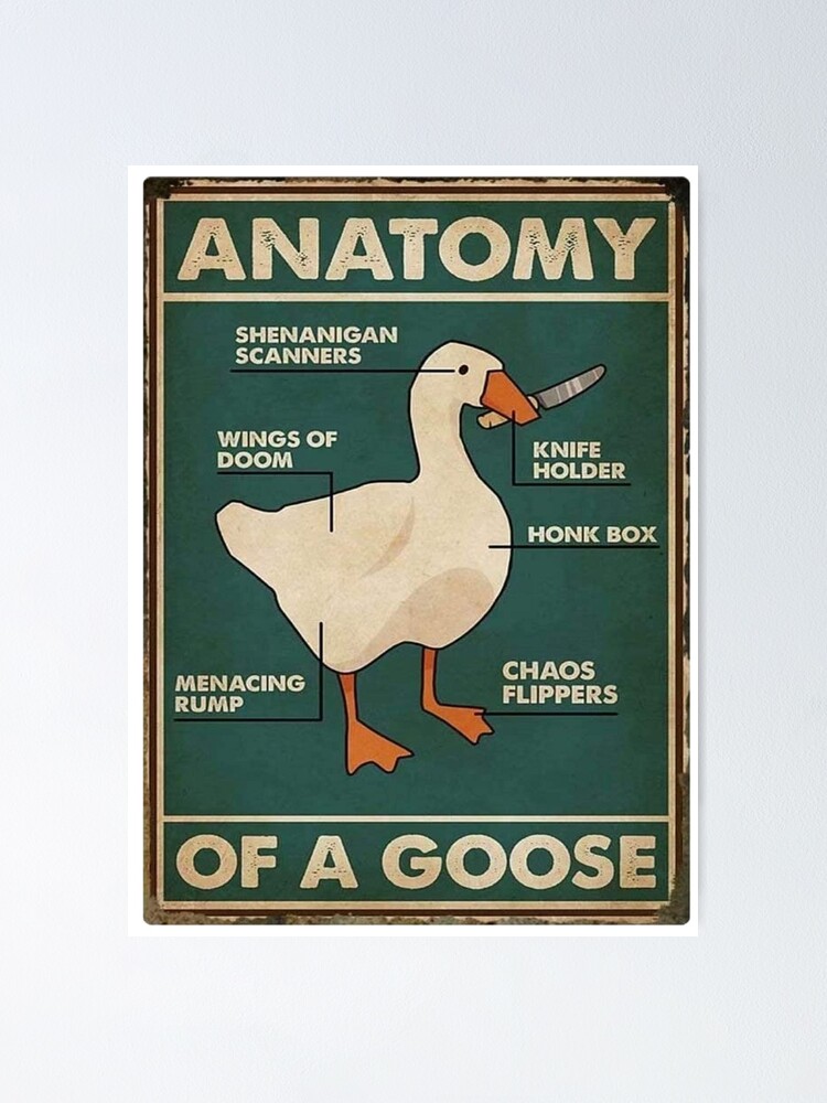 "Anatomy Of A Murderer Goose Meme Art" Poster for Sale by nikopashko ...