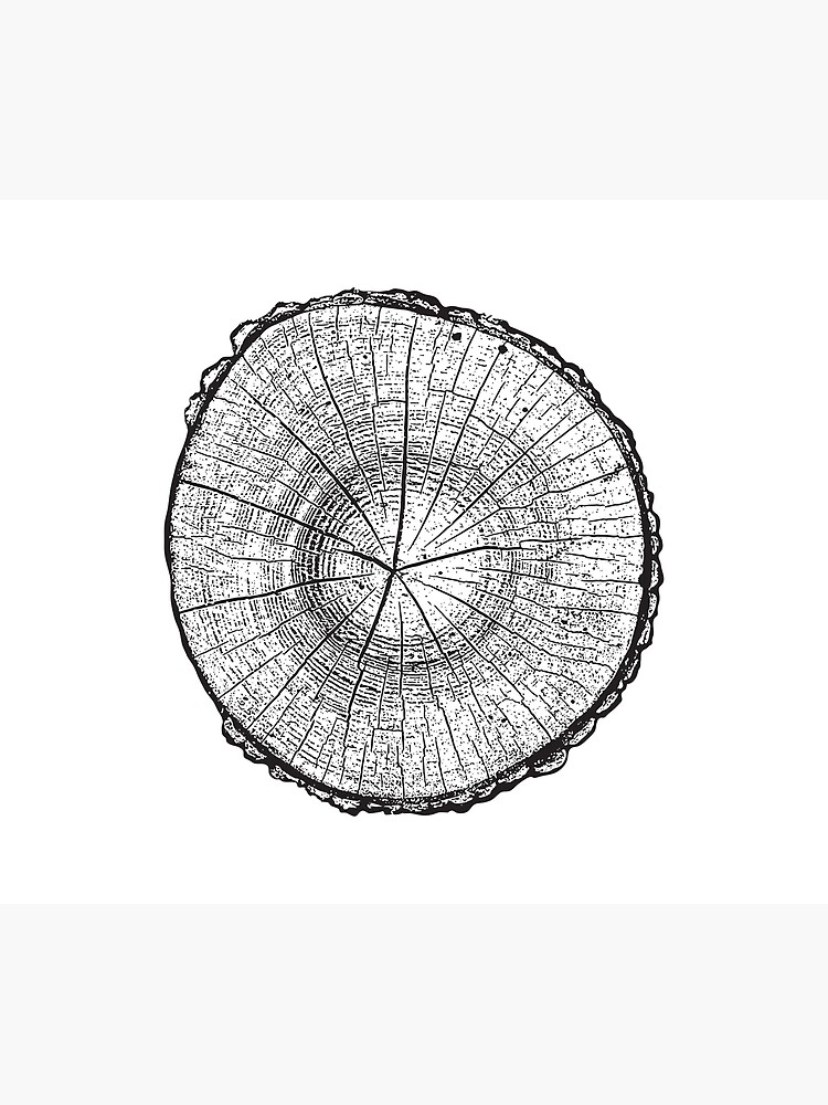 "The Life of a Tree - Tree Ring Design" Poster for Sale by BigNige1234 ...
