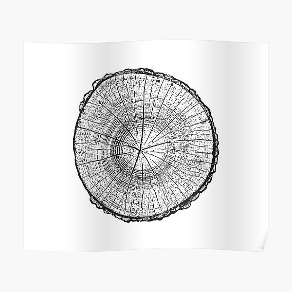 "The Life of a Tree - Tree Ring Design" Poster for Sale by BigNige1234 ...