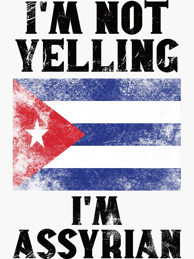 "Funny Assyrian Gift: I'm Not Yelling, I'm Assyrian - Retro Syria Flag ...