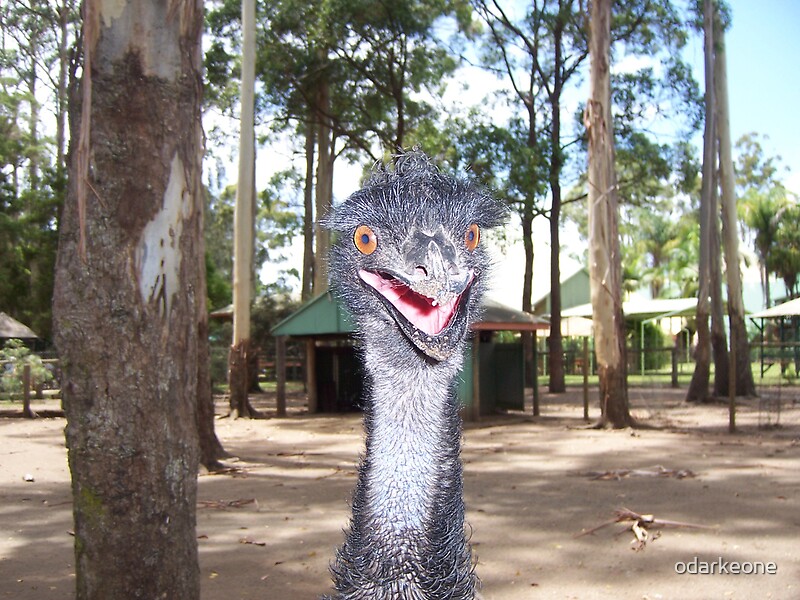 "Smiling Emu" by odarkeone | Redbubble