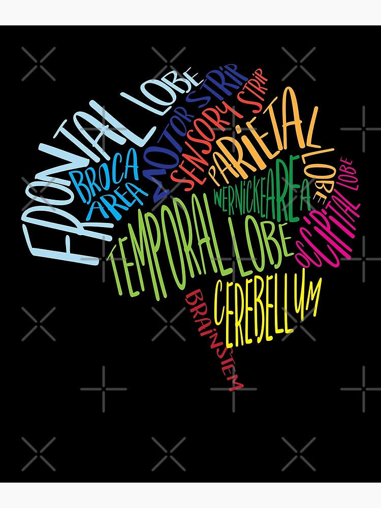 "Brain Typography Word Bubble RN Neuroscience Nurse Neurologist ...