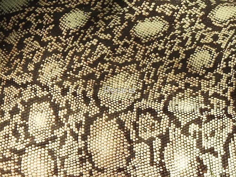 "Perentie [lizard / goanna] skin" by Rosaria | Redbubble