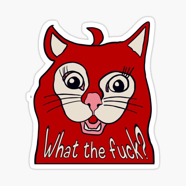 "What the cat" Sticker by Muensterman | Redbubble