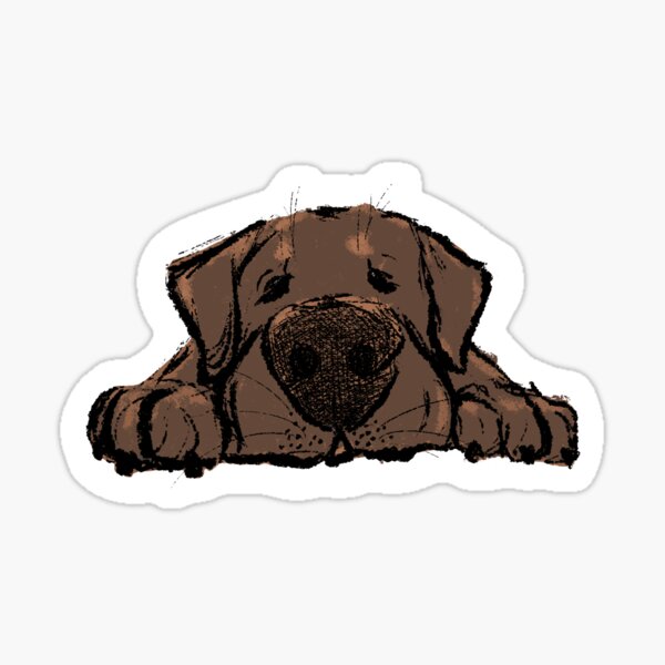 "Sweet Chocolate Lab Face" Sticker by cphilbrick | Redbubble