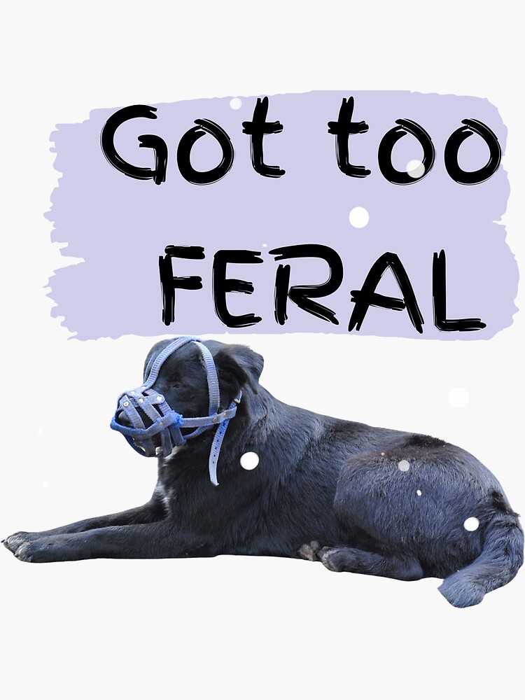 "Got too Feral, I Am Feral Black Dog" Sticker for Sale by Solomonsel ...