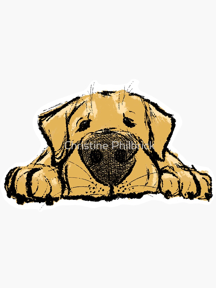 "Sweet Yellow Lab Face" Sticker by cphilbrick | Redbubble
