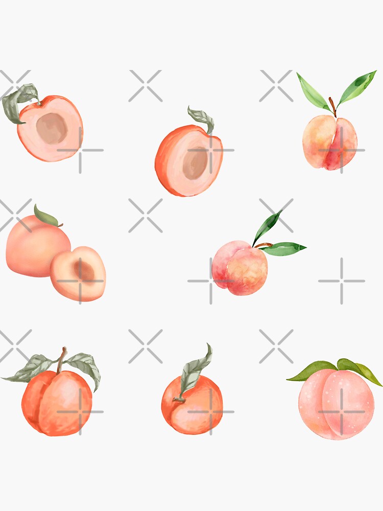"Watercolor Peach Fruit" Sticker by silviaol | Redbubble