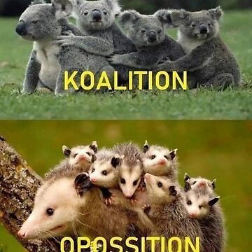 "Koalition vs Opposition in animals" Sticker for Sale by Rashkin ...
