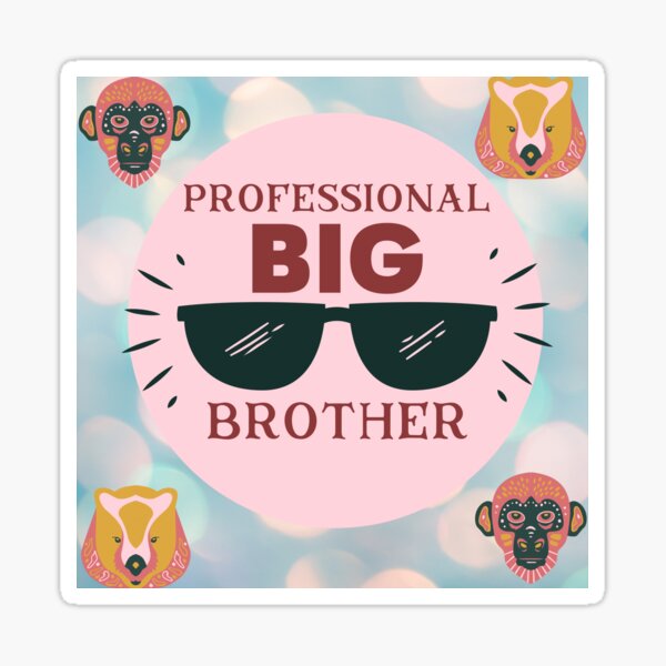 "Big Brother" Sticker by Bussku | Redbubble