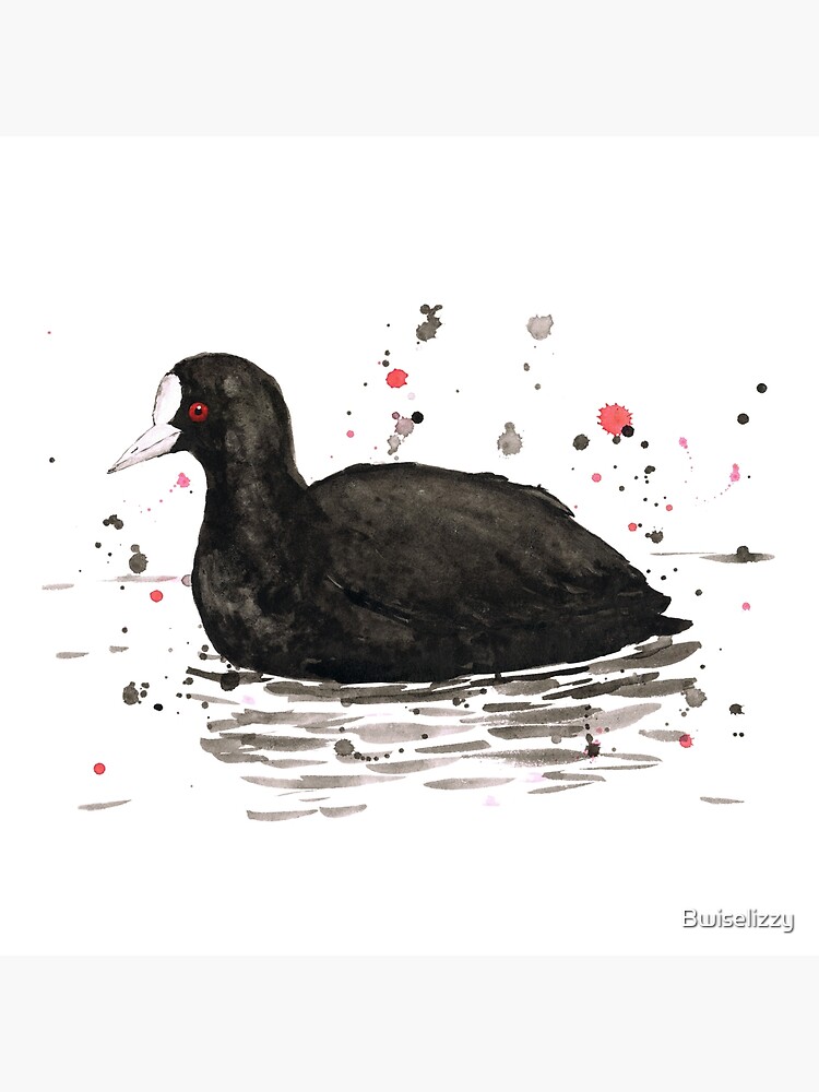 "An ink drawing of a common coot." Art Print by Bwiselizzy | Redbubble
