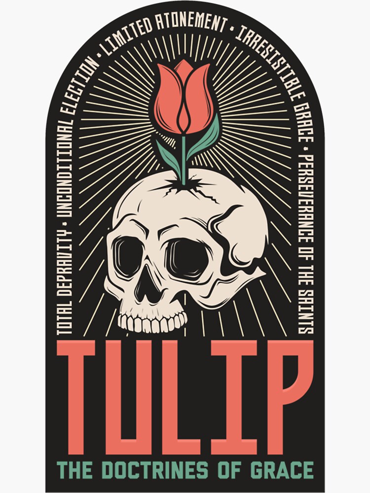 "TULIP - The doctrines of grace. The main five points of Calvinism ...