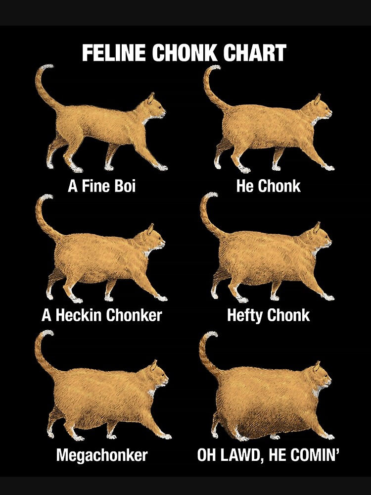 "Feline Conk Chart Funny Chonk Cat Meme " T-shirt by stitzukkrelln ...