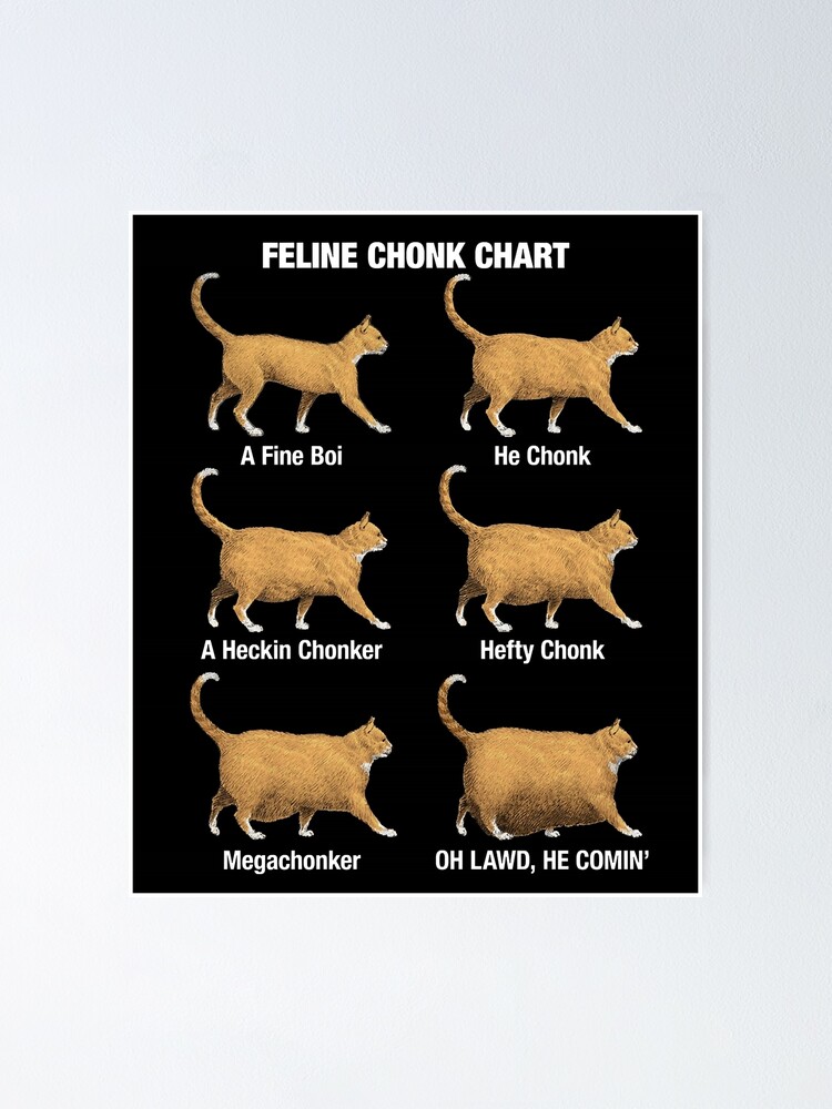 "Feline Conk Chart Funny Chonk Cat Meme " Poster by stitzukkrelln ...