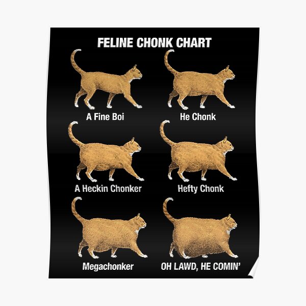 "Feline Conk Chart Funny Chonk Cat Meme " Poster by stitzukkrelln ...