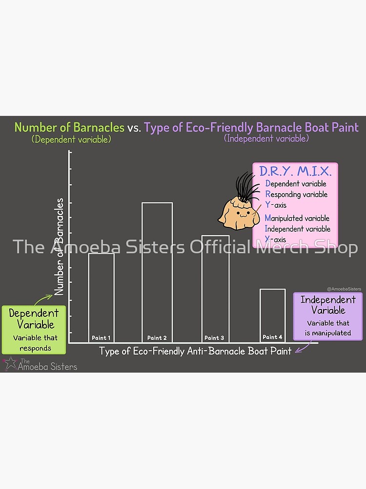 "Independent Variable vs Dependent Variable Poster" Poster for Sale by ...