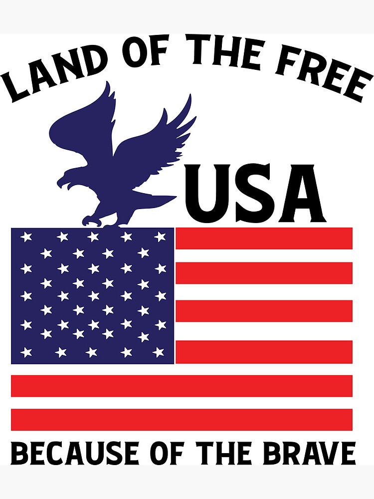 "American Flag, Bald Eagle USA, Land of the Free because of the Brave ...