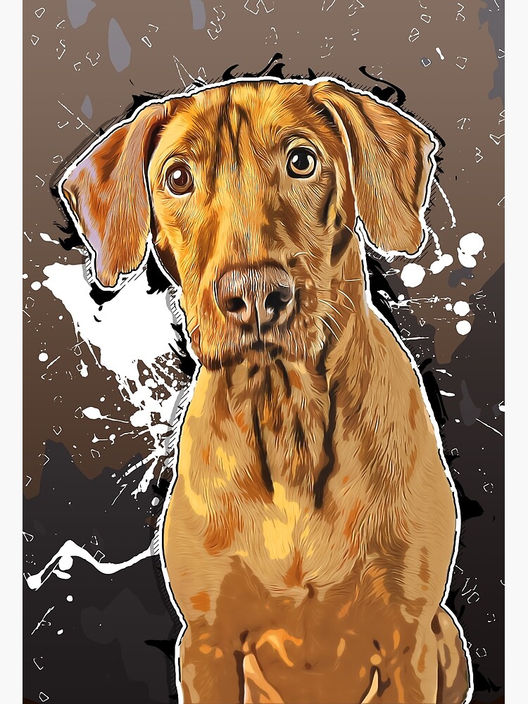 "Rhodesian Ridgeback" Poster for Sale by VidOkPrzemPrun | Redbubble
