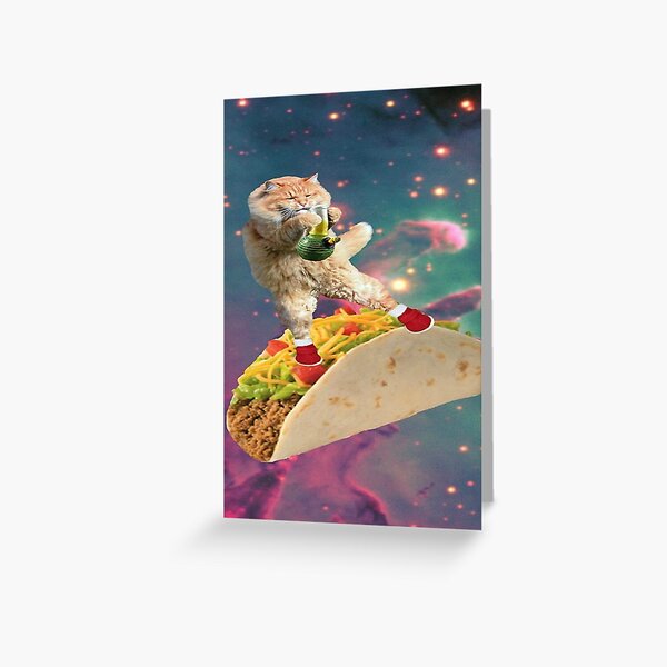 "taco bong cat" Greeting Card by taco-elgato | Redbubble