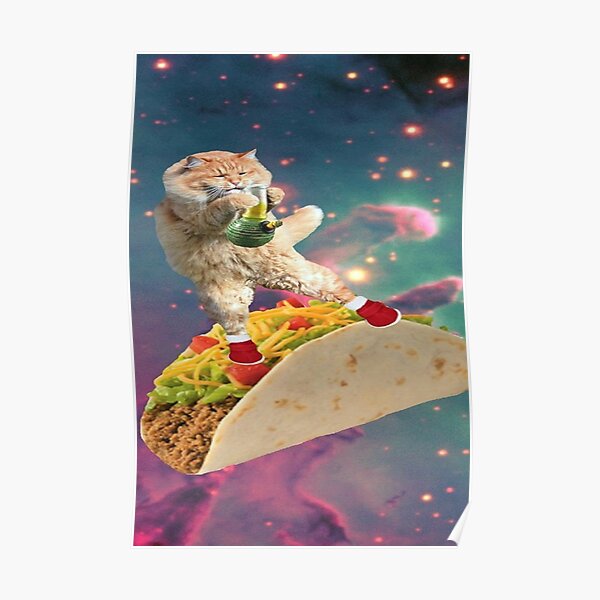 "taco bong cat" Poster for Sale by taco-elgato | Redbubble
