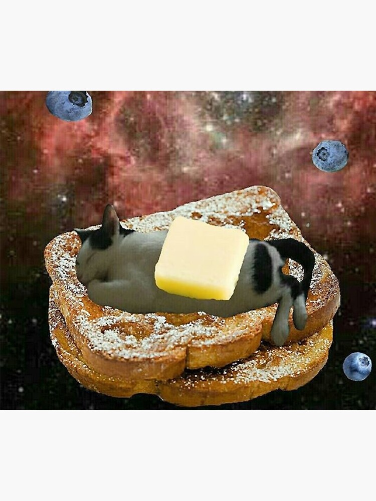 "french toast cat" Tapestry for Sale by taco-elgato | Redbubble