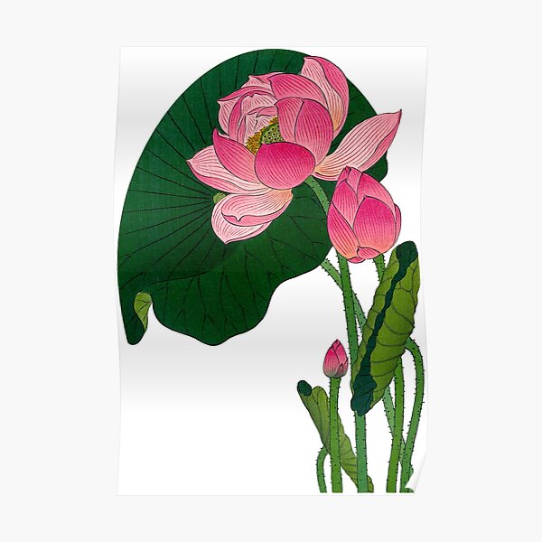 "Pink Lotus flower | Japanese Painting" Poster for Sale by Serendipitya ...
