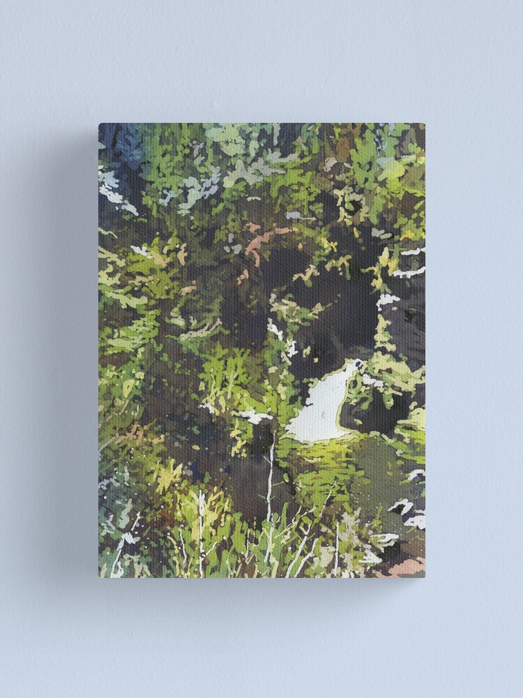 "Linville Falls in the Blue Ridge moutains- North Carolina. Watercolor ...