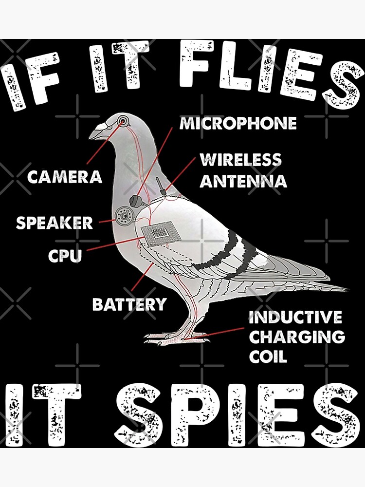 "Birds Aren’t Real Funny Meme Movement If It Flies It Spies Pigeon ...