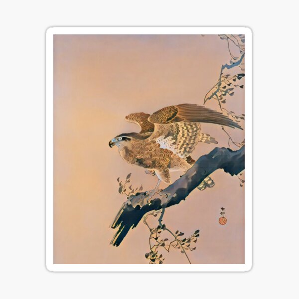 "Vintage Japanese Art Hawk" Sticker by patternsnprint | Redbubble