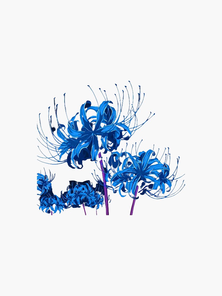 "Blue Spider Lily Sticker" Sticker for Sale by KVSTICKERS | Redbubble