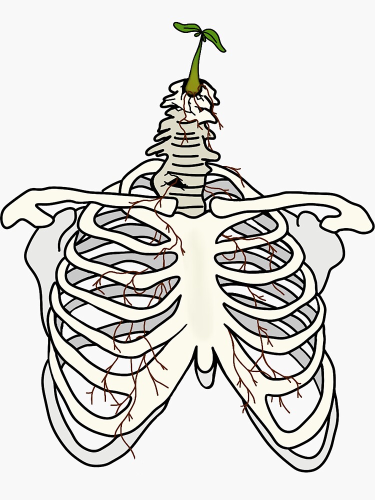 "Back To Your Roots" Sticker by gjones23 | Redbubble