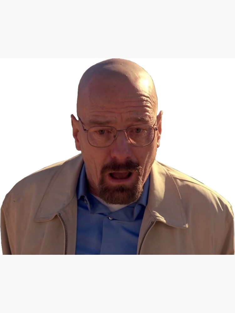 "walter white meme" Poster for Sale by kamilesz | Redbubble
