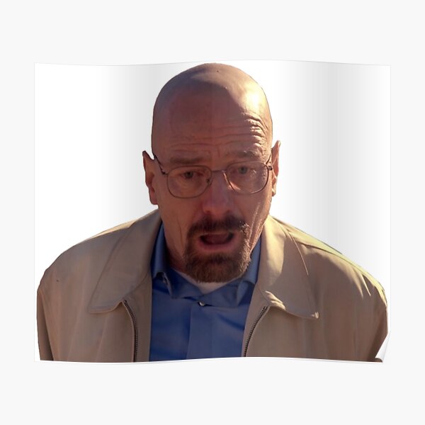 "walter white meme" Poster for Sale by kamilesz | Redbubble