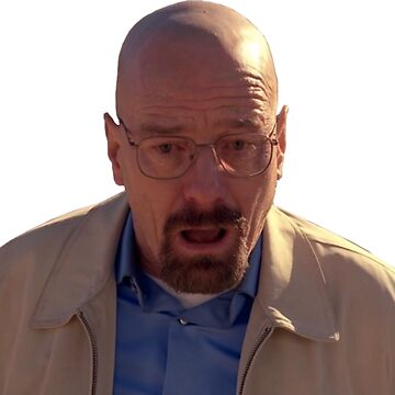 "walter white meme" Poster for Sale by kamilesz | Redbubble