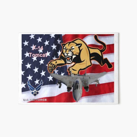 "F-14 Tomcat" Art Board Print for Sale by sobers-graphics | Redbubble