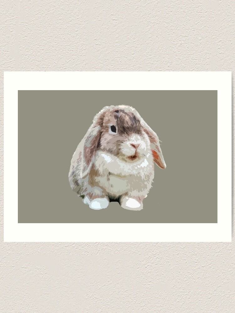 "Lovely White Bunny American Fuzzy Lop Bunnies Cute Drawing" Art Print ...
