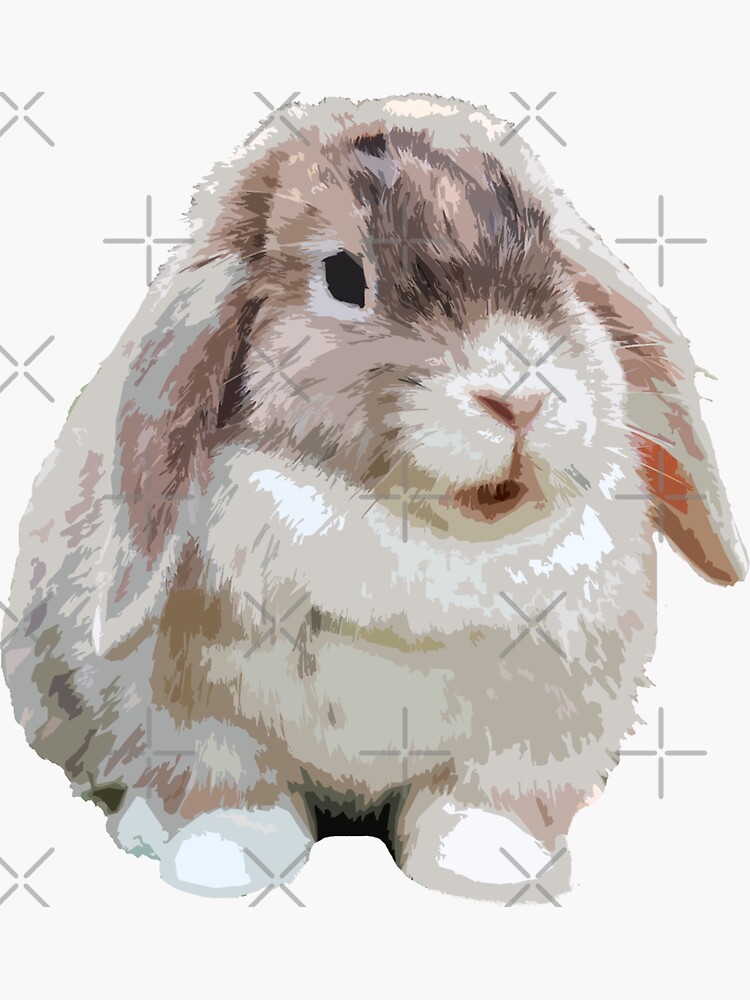 "Lovely White Bunny American Fuzzy Lop Bunnies Cute Drawing" Sticker by ...