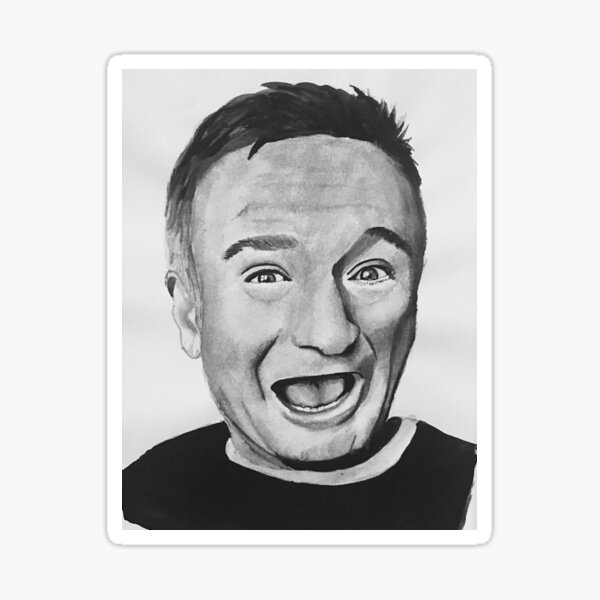 "Robin Williams" Sticker by juliatolfa | Redbubble