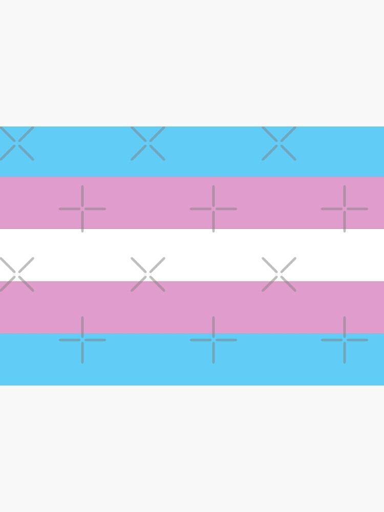 Trans Pride Flag Poster For Sale By Gayesthetic Redbubble
