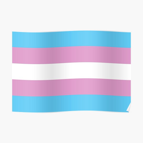 Trans Pride Flag Poster For Sale By Gayesthetic Redbubble
