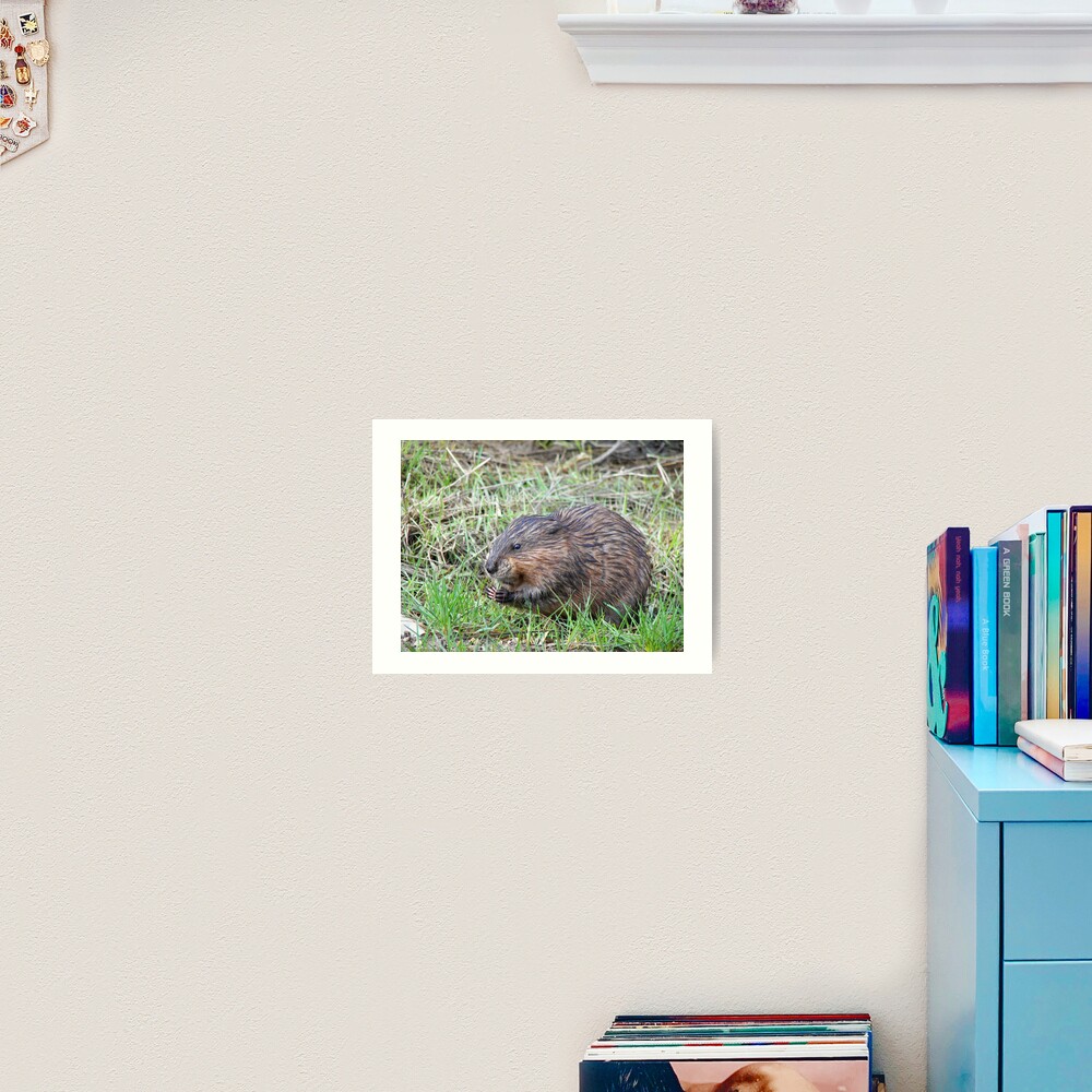 "Muskrat Love" Art Print for Sale by 14ktgold | Redbubble