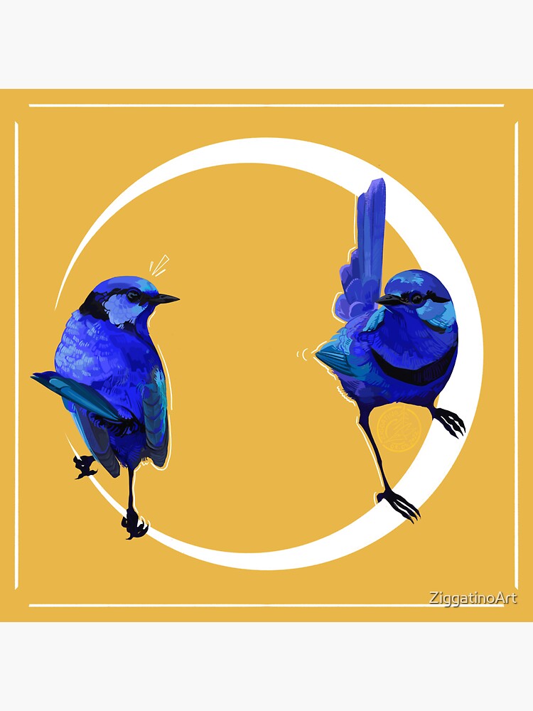 "Splendid Fairy Wrens" Sticker for Sale by ZiggatinoArt | Redbubble
