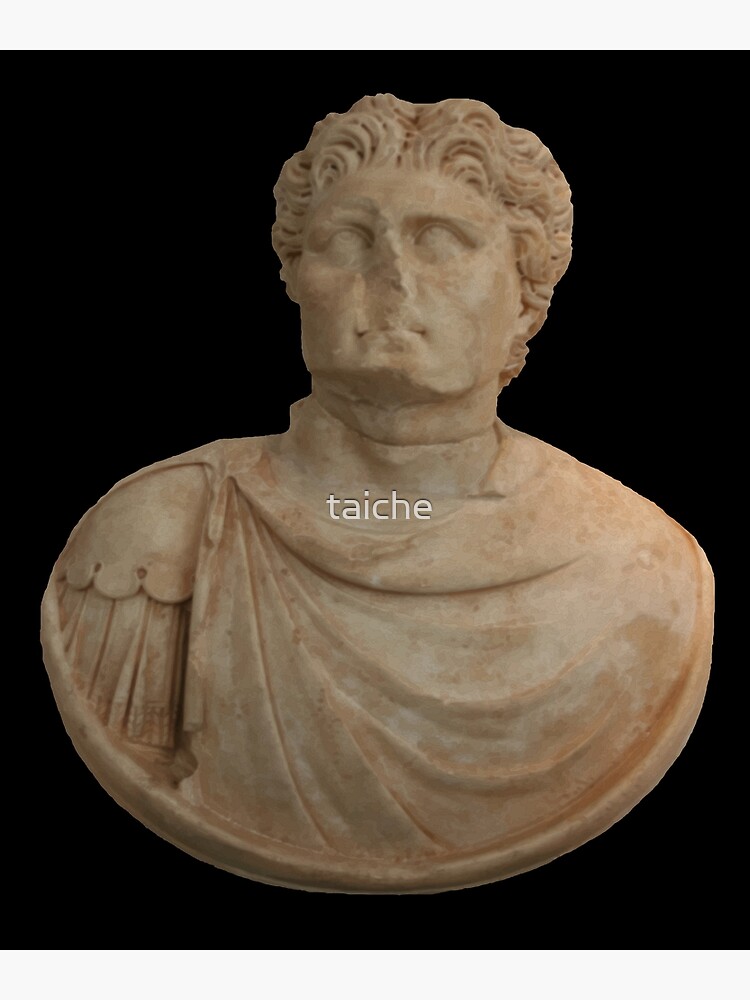 "Alexander The Great Shield Portrait Aphrodisias Vector Art" Poster for ...