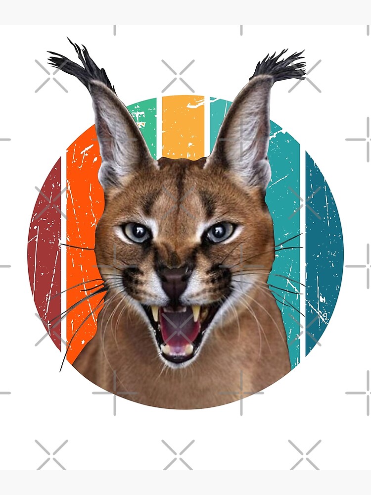 "angry floppa vintage retro. big floppa" Poster for Sale by Cllarashop ...