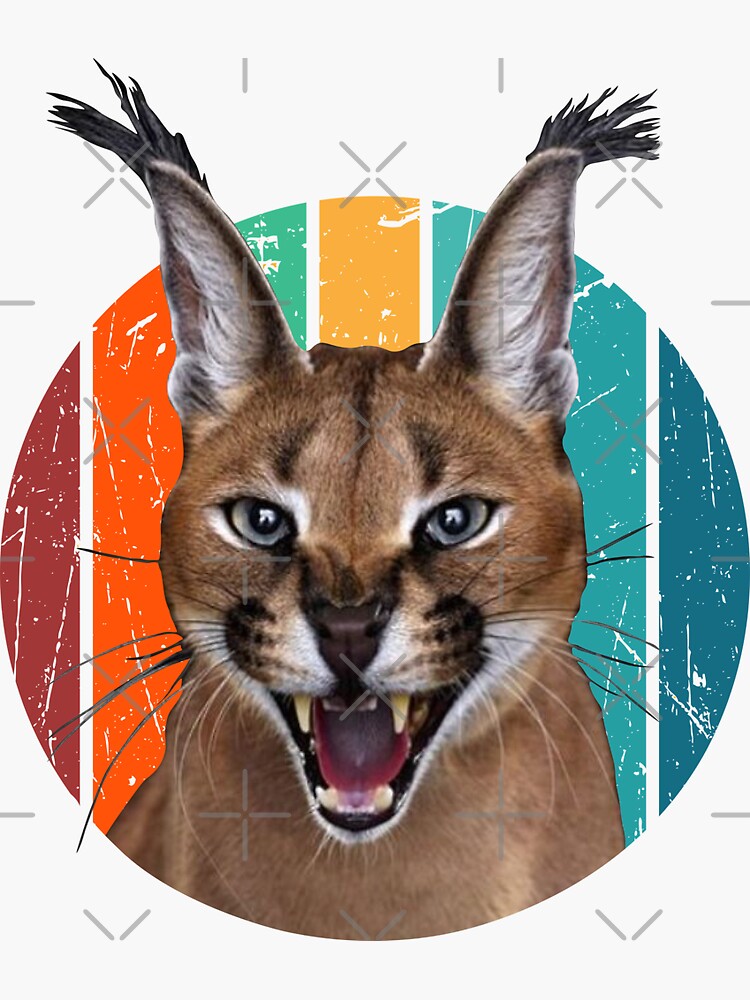 "angry floppa vintage retro. big floppa" Sticker by Cllarashop | Redbubble